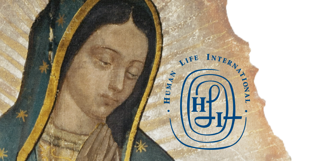 La Encarnación y la dignidad de la persona humana - Vida Humana ...